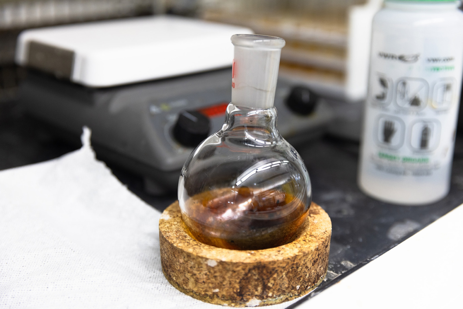 UW–Madison project combines art, policy, and science to create plant ...