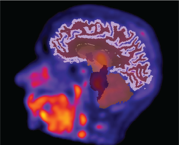 Out from the shadows: Cook lab studies complex, mysterious, and often ...